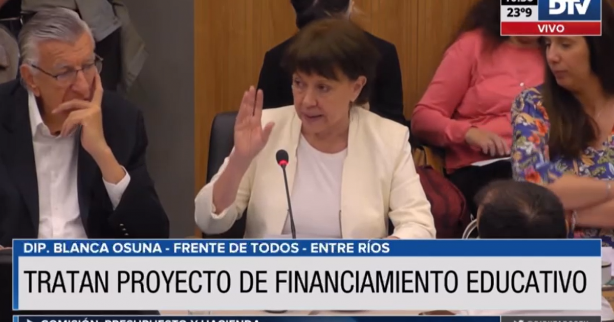 Diputados Avanzó Con El Proyecto De Ley De Financiamiento Educativo